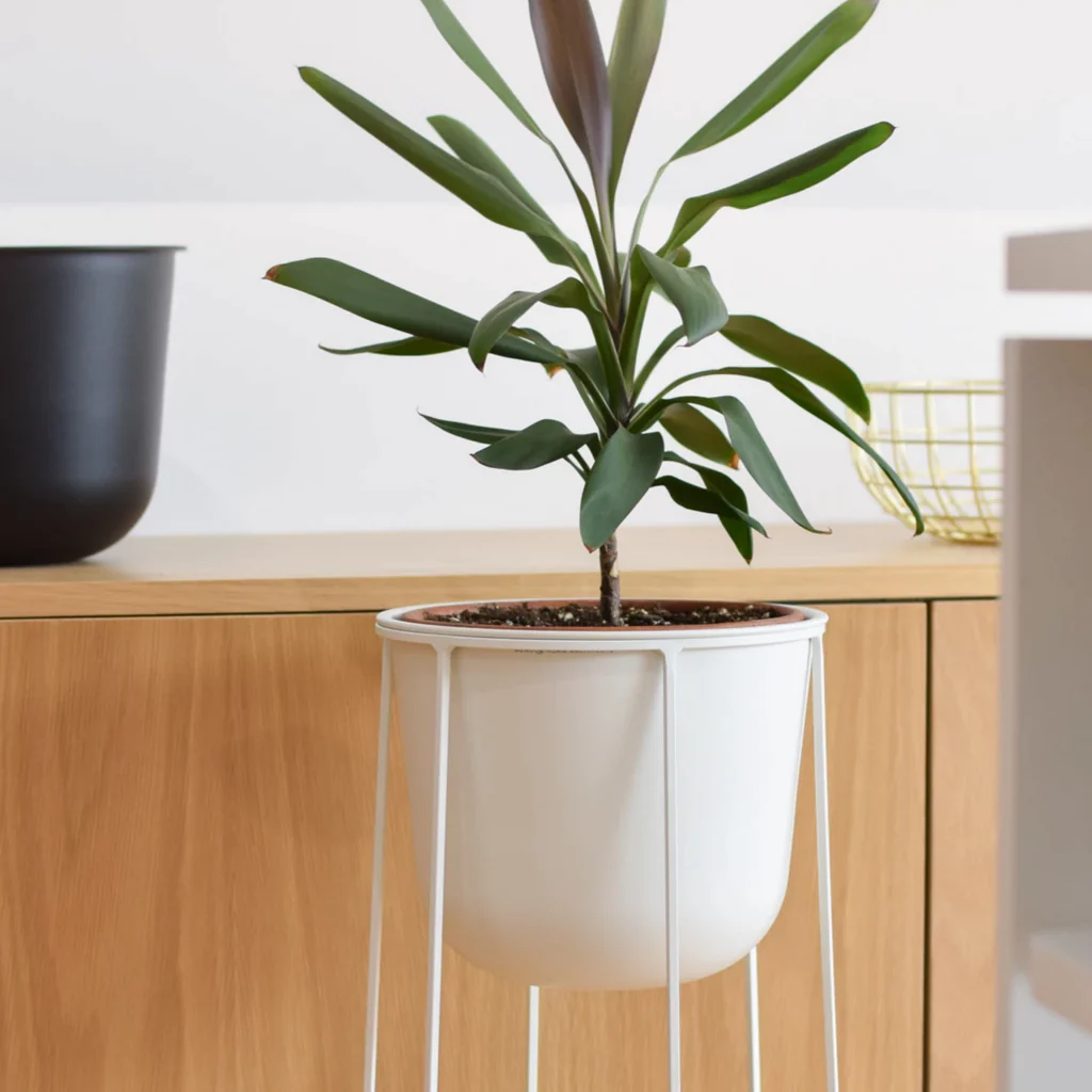 Wire Pot, White – Wool