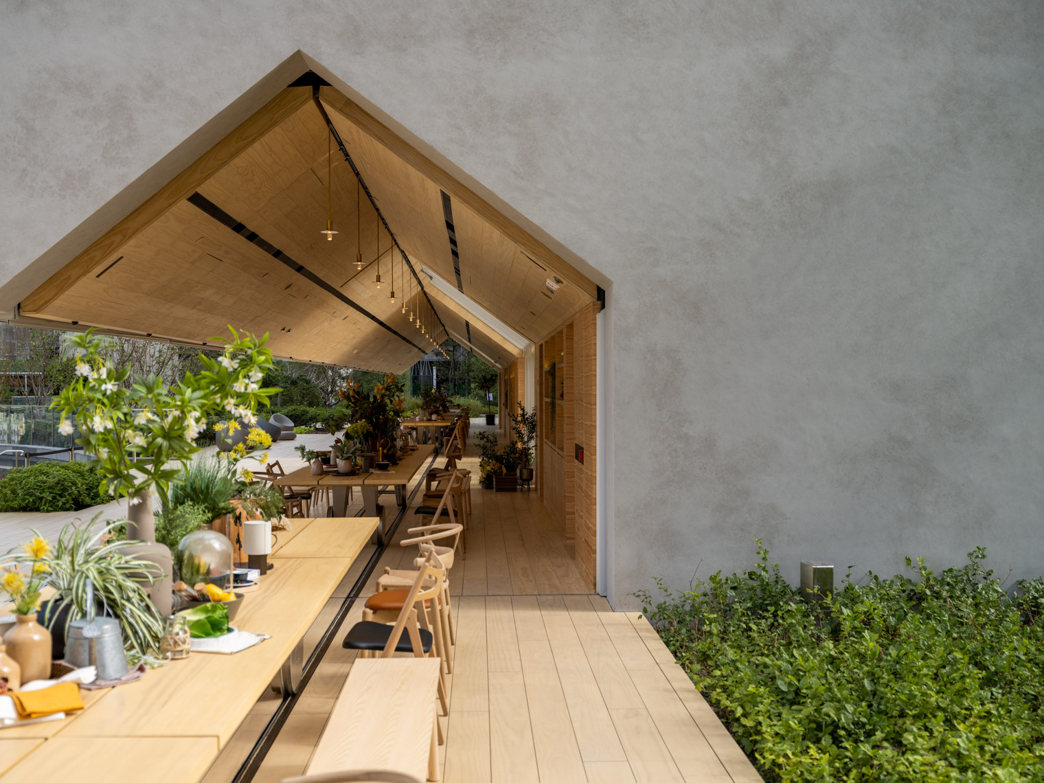 The Pavilia Farm – Wool