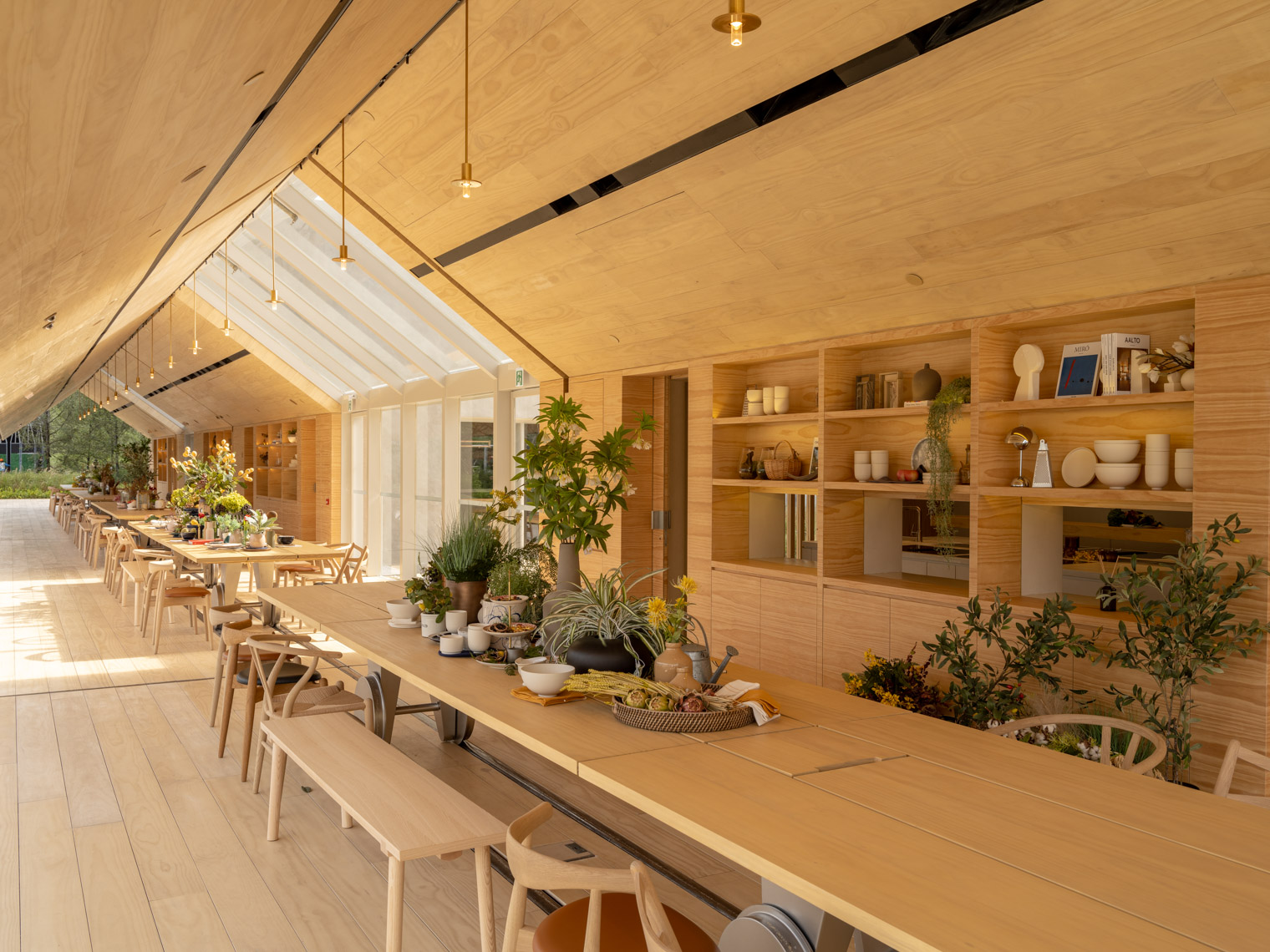 The Pavilia Farm – Wool