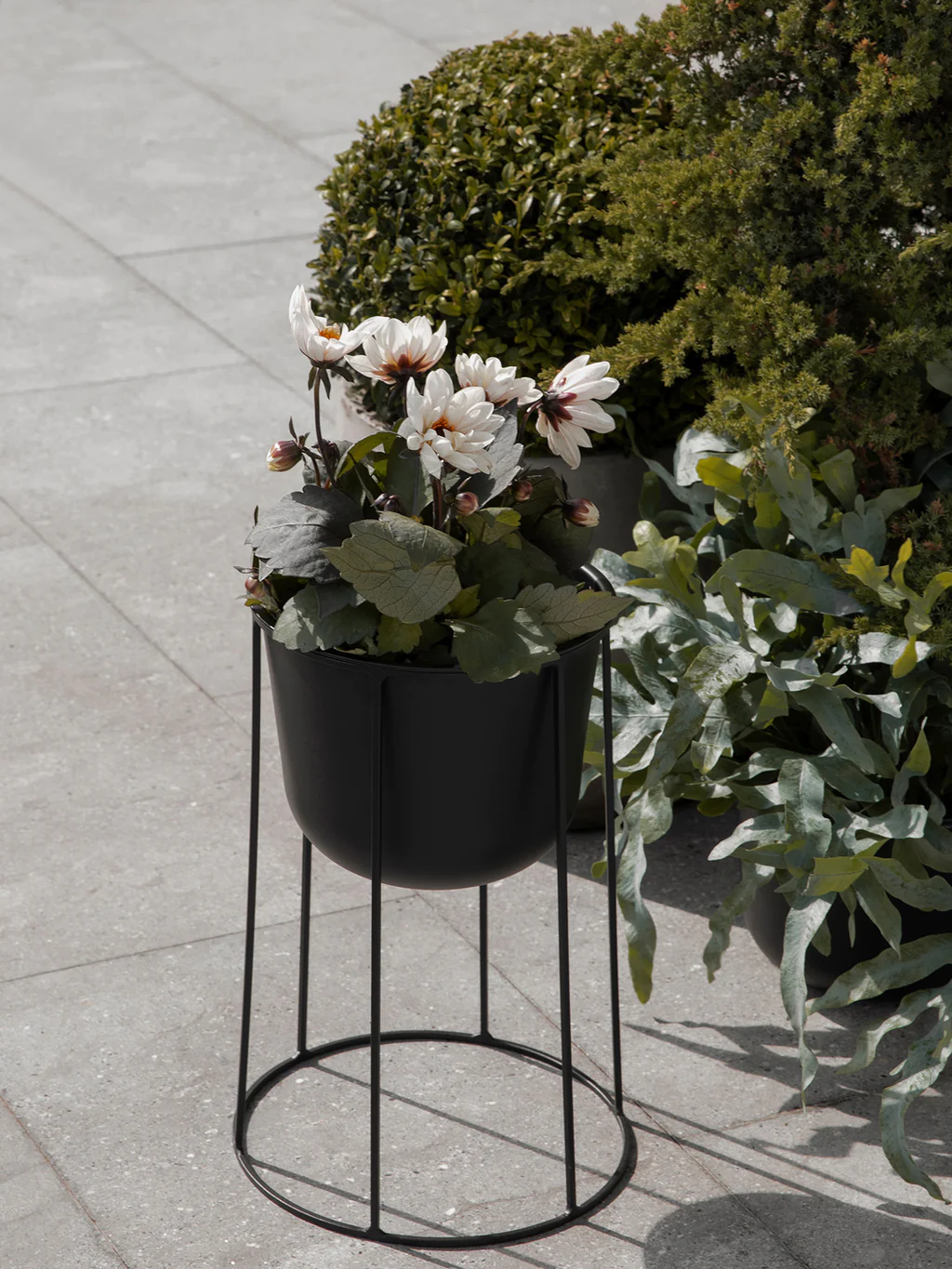 Wire Pot, Black – Wool